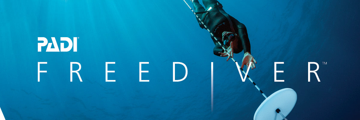 Freediving Programs – Malibudivers