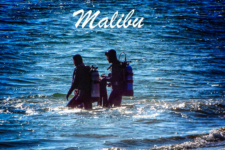 Unlocking the Hidden Benefits of Scuba or Freedive Training at Local D – Malibudivers