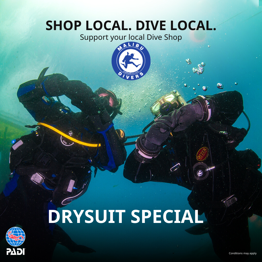 Drysuit Diving Decisions: A Comprehensive Guide to Choosing the Perfec – Malibudivers