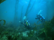 Malibu Divers – Malibudivers