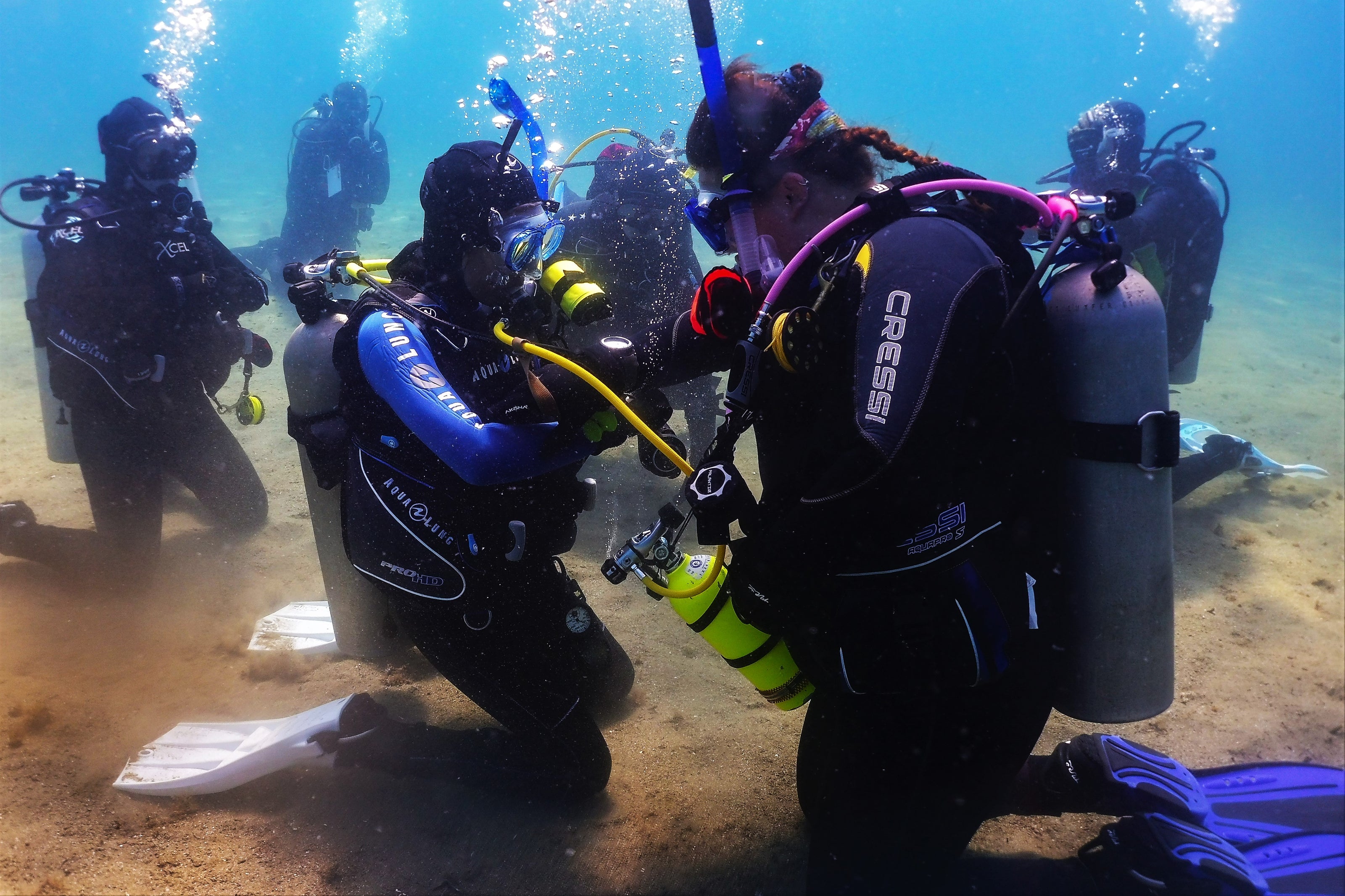 PADI Professional Certification Programs – Malibudivers