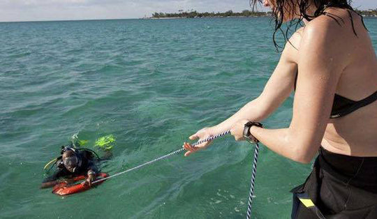 Malibu Divers – Malibudivers