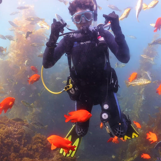 PADI Open Water Certification – Malibudivers