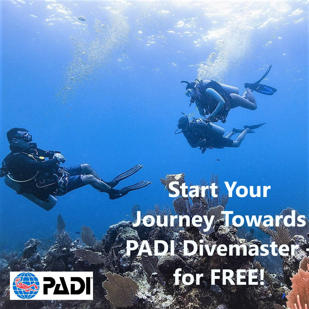Try PADI Divemaster eLearning for Free* – Malibudivers