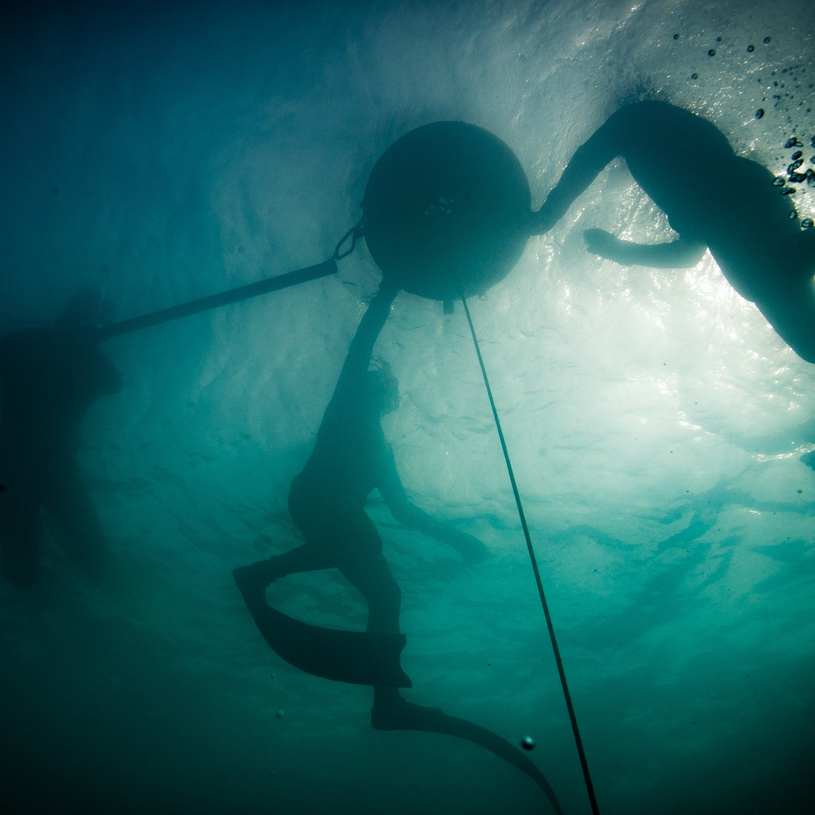 Freediving Program – Malibudivers