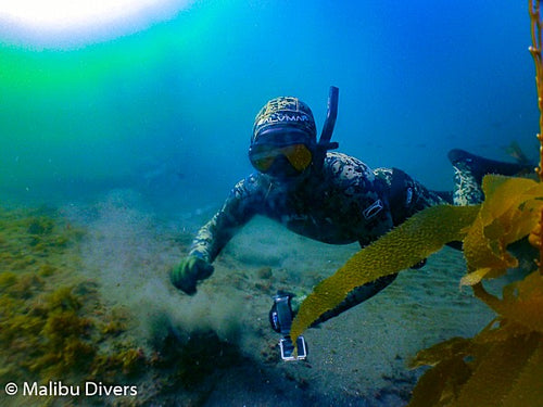 Freediving Program – Malibudivers